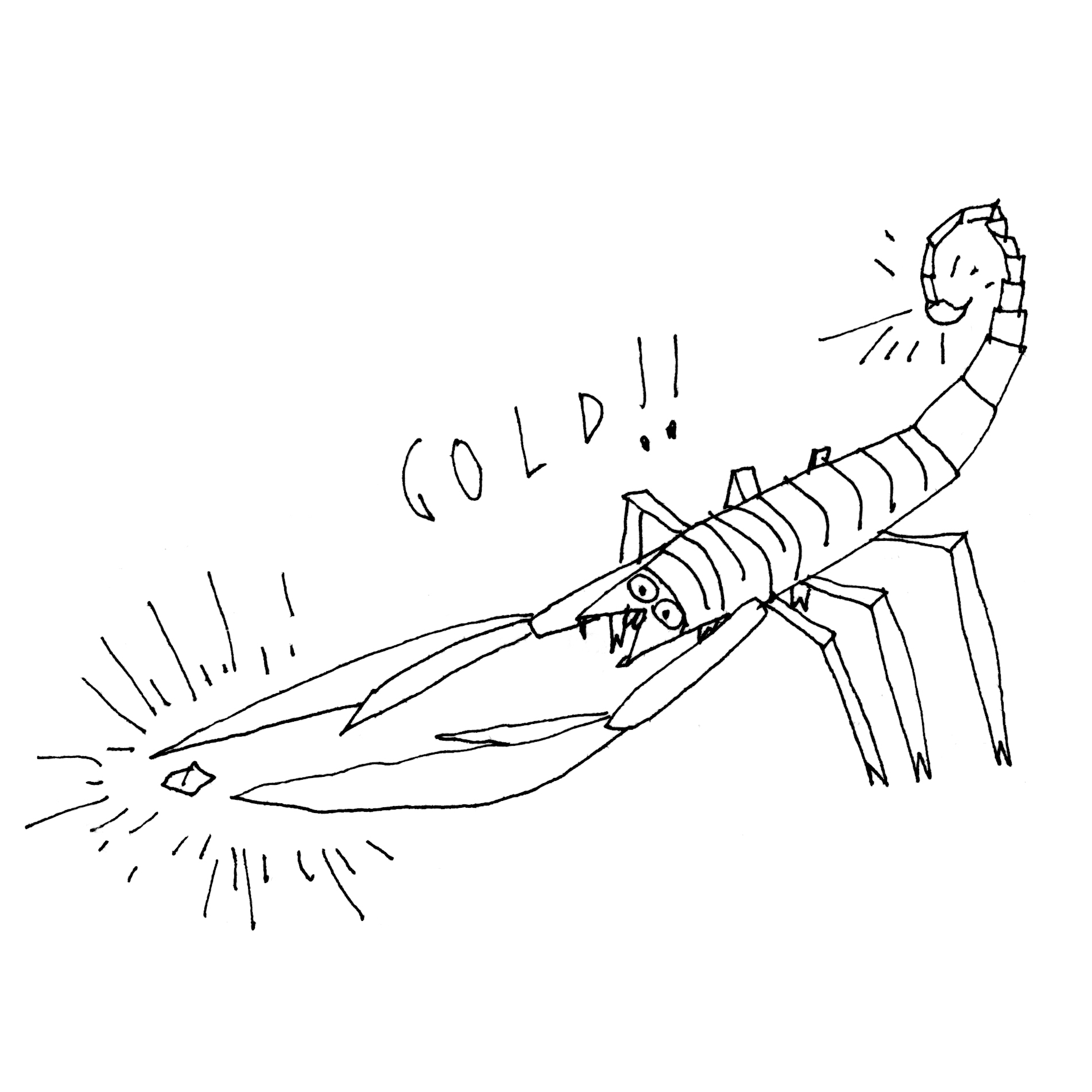 Kooni – ein Blick hinter die Kulissen – Denkzeiten – Sandra von Siebenthal